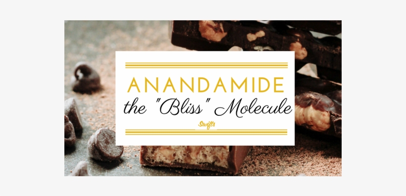 Getting The Most Out Of The Euphoria Molecule Swifts - Anandamide ...