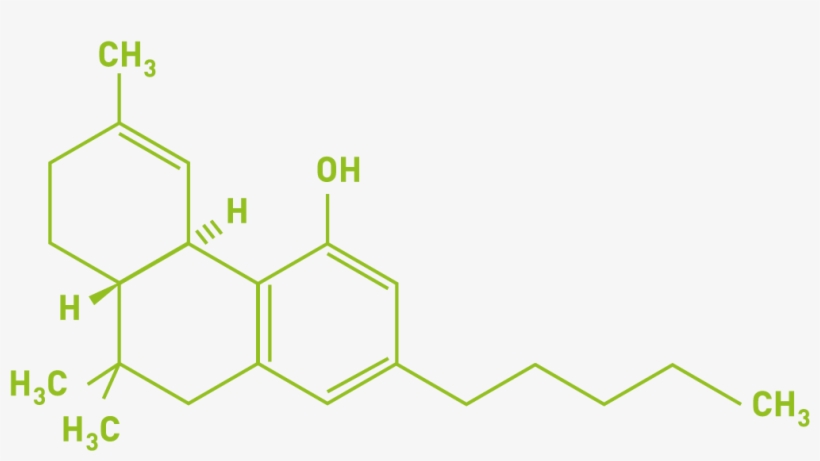 Thc & Thca - Diagram Transparent PNG - 1191x842 - Free Download on NicePNG