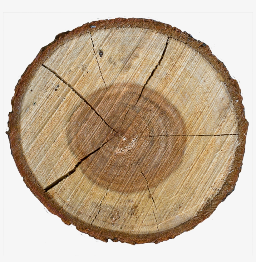 Wood End 09 - Tree Stump Transparent PNG - 888x867 - Free Download on ...