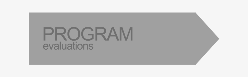 Program Evaluations - Principles-focused Evaluation By Michael Quinn ...