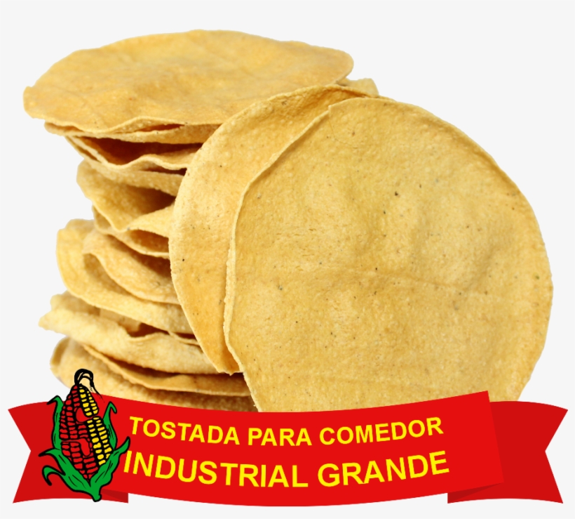 Tostada Para Comedor Industrial Grande 40pzas1 - Industry Transparent ...