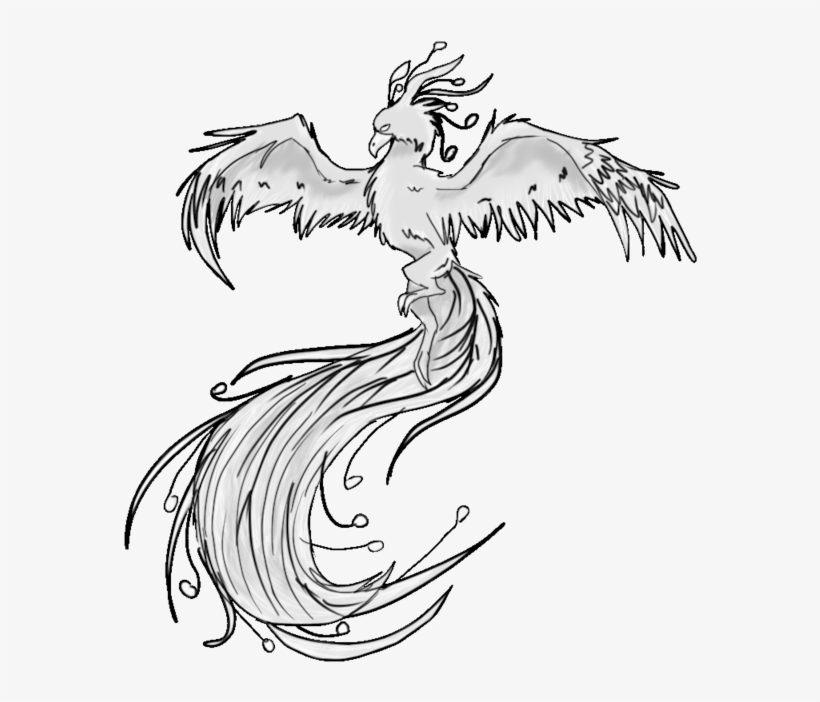 Download A Fiery Red And Orange Phoenix Feather Tattoo That ...