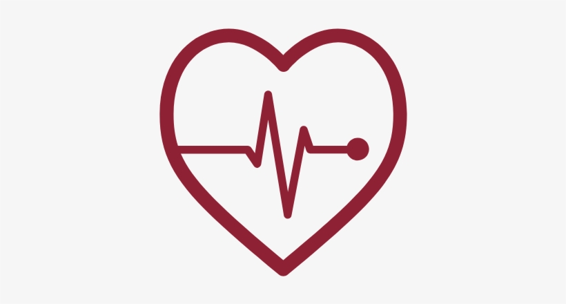 Ecg Icon Transparent PNG - 366x366 - Free Download on NicePNG