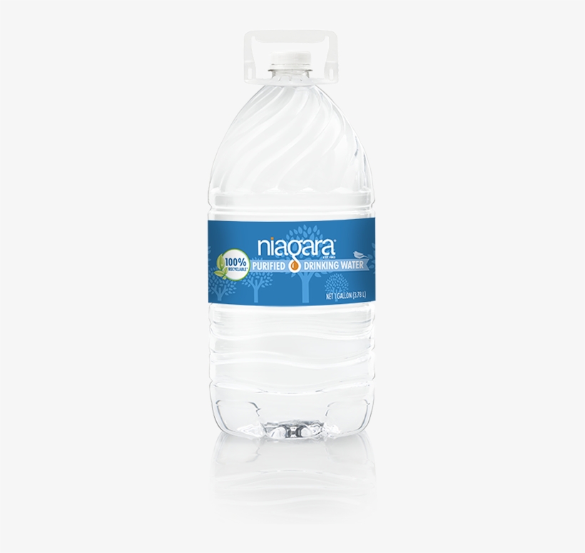 Niagara Gallon Water Bottles Transparent PNG - 240x695 - Free Download ...