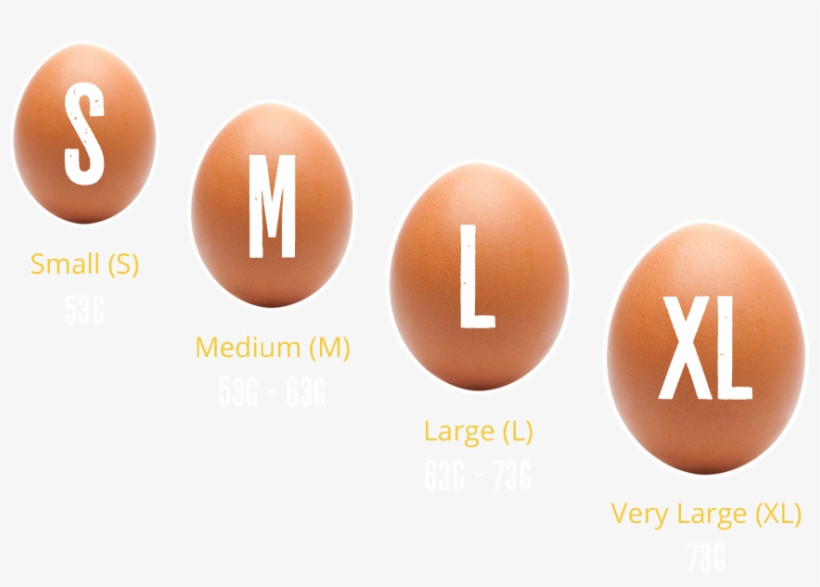Egg Sizes - Egg Sizes Uk Transparent PNG - 862x576 - Free Download on ...