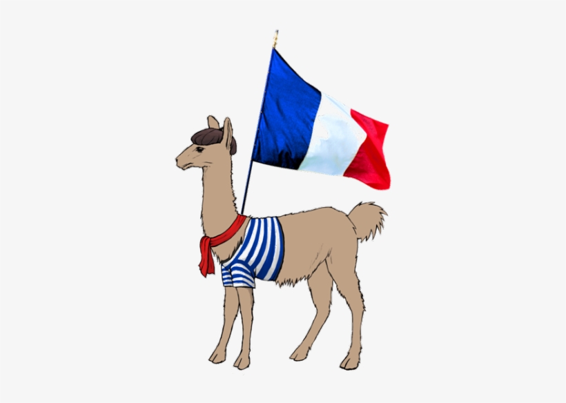 French The Llama