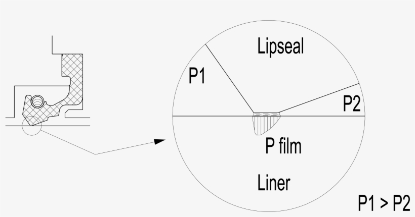 Radial Lip Seals - Diagram Transparent PNG - 6218x2961 - Free Download ...