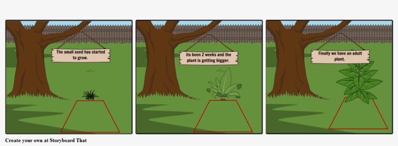 Plant Growth - Examples Of Tu Quoque Transparent PNG - 1164x385 - Free ...