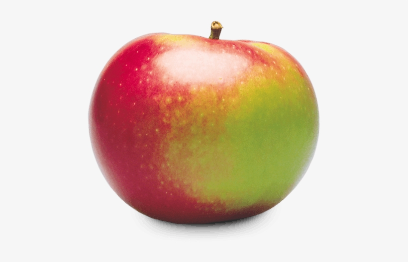Macintosh Fruit