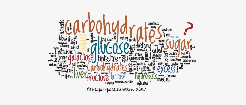 Download So Exactly What Are Carbohydrates - Calligraphy - HD ...