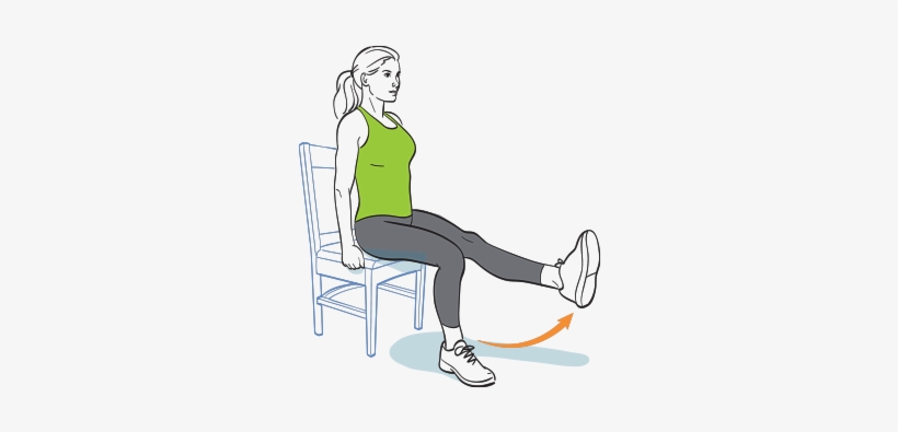 Leg Extension - Sitting Transparent PNG - 600x400 - Free Download on ...