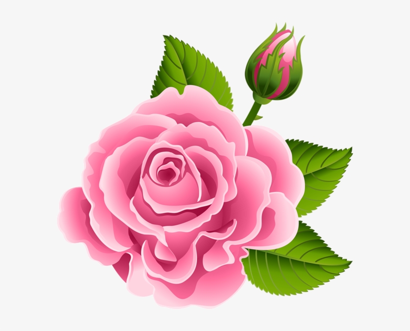 Pink Rose With Rose Bud Png Clip Art Image - Pink Rose Bud Transparent ...