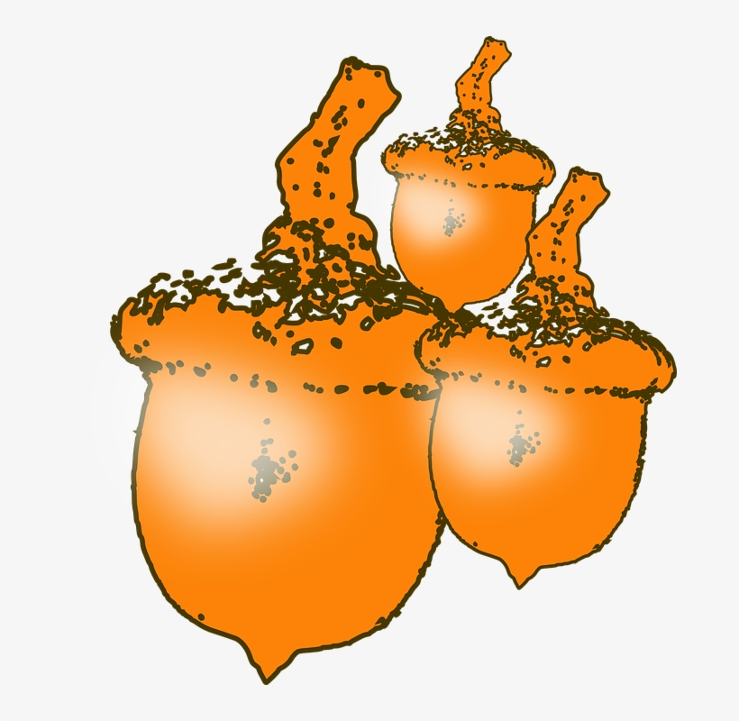 Seeds Clipart Acorn - Nuts Animation Transparent PNG - 683x720 - Free ...