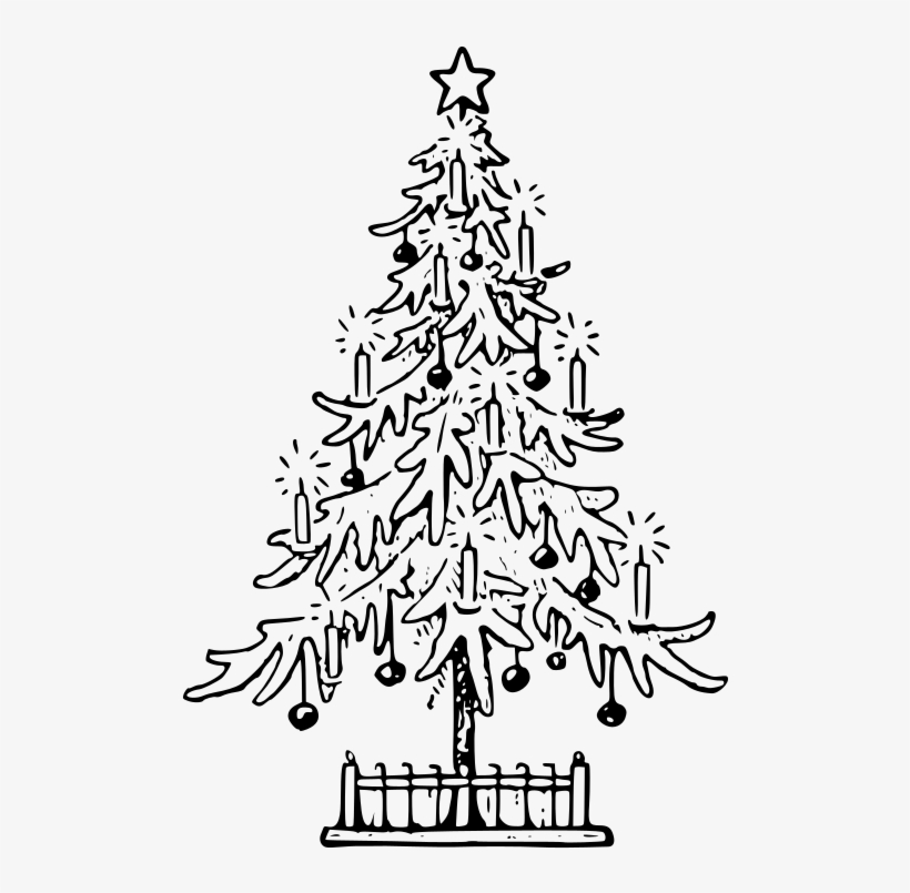 Medium Image - Christmas Tree Images Outline Transparent PNG - 569x800 ...