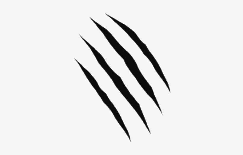 Download Scratches Png Free Download - Transparent Background Claw ...