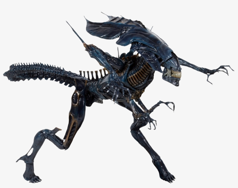 Alien Chestburster Png Download - Alien Queen Neca Transparent PNG ...