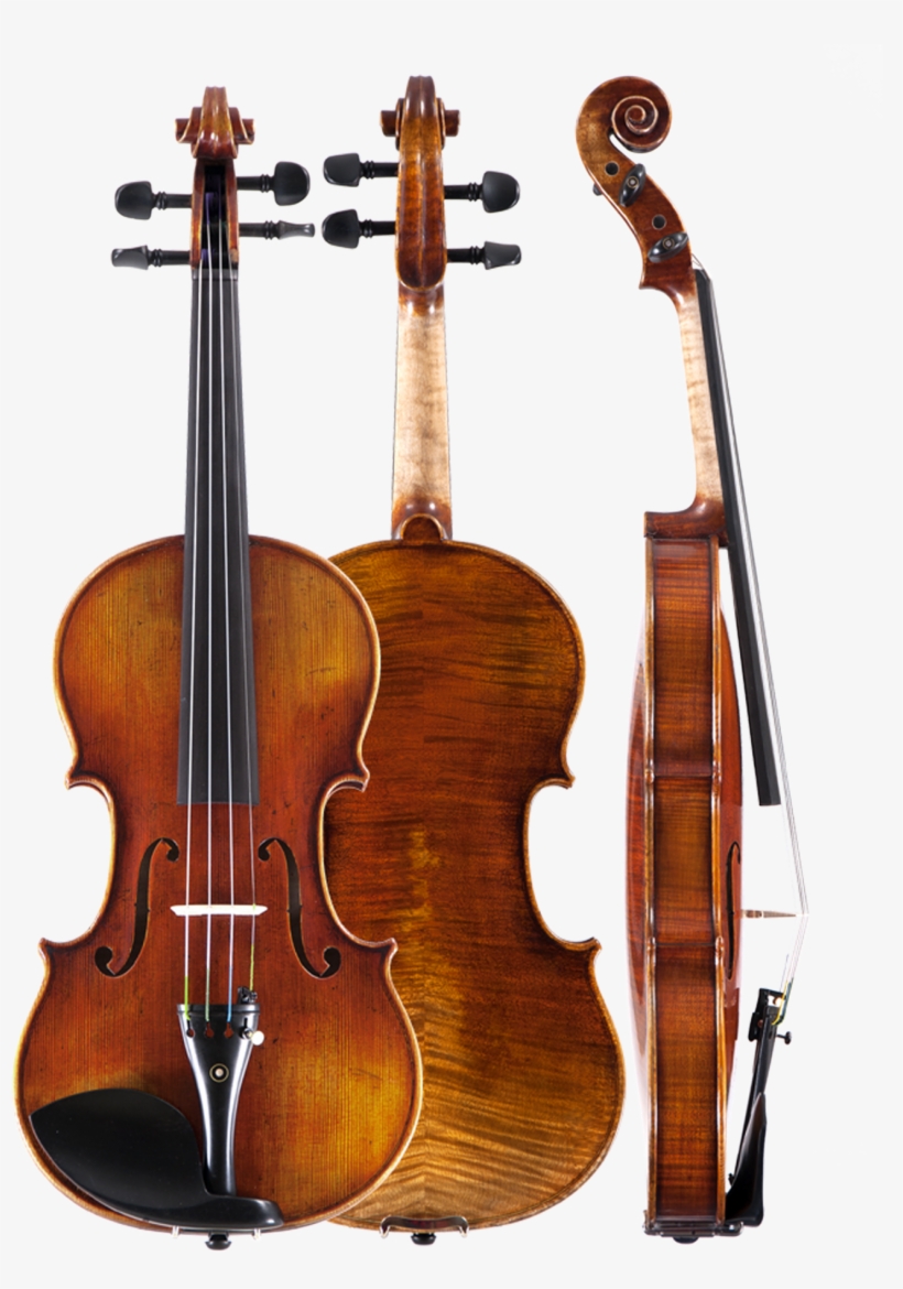 Heberlein Violin Outfit - Torelli Violin Transparent PNG - 1812x1800 ...