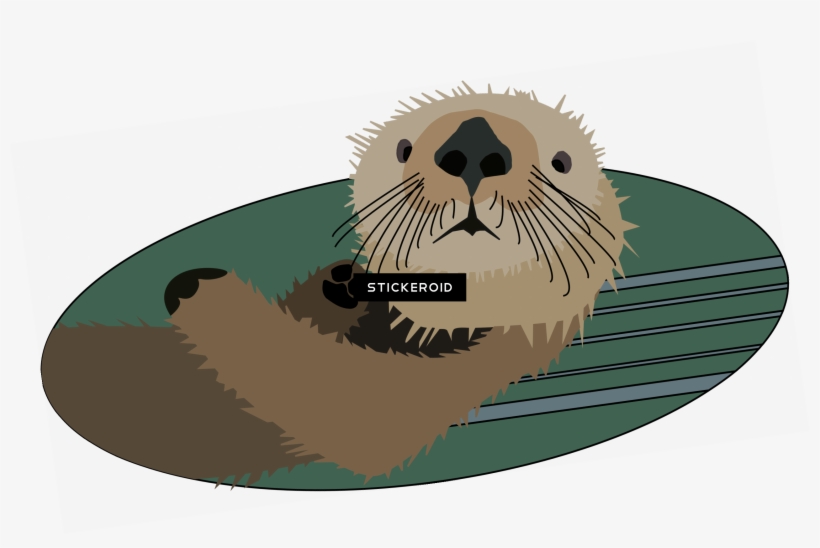 Otter Animals - Custom Otter Shower Curtain Transparent PNG - 2551x1581 ...