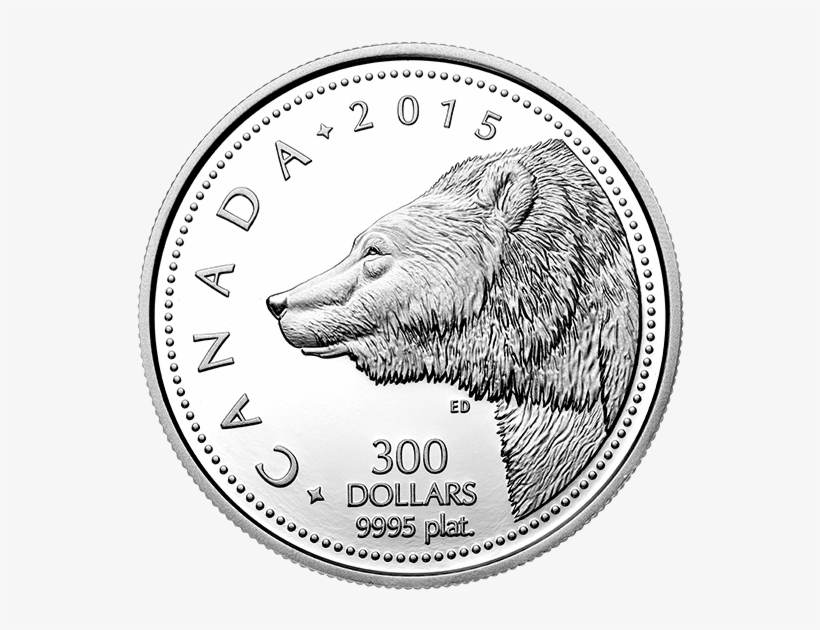 Pure Platinum Coin - Platinum Coin Transparent Transparent PNG ...