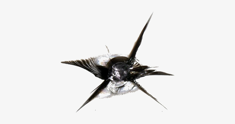 Mobile Rock Chip Repair - Windscreen Chip Transparent PNG - 600x480 ...