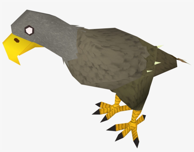 Buzzard Transparent PNG - 839x614 - Free Download on NicePNG
