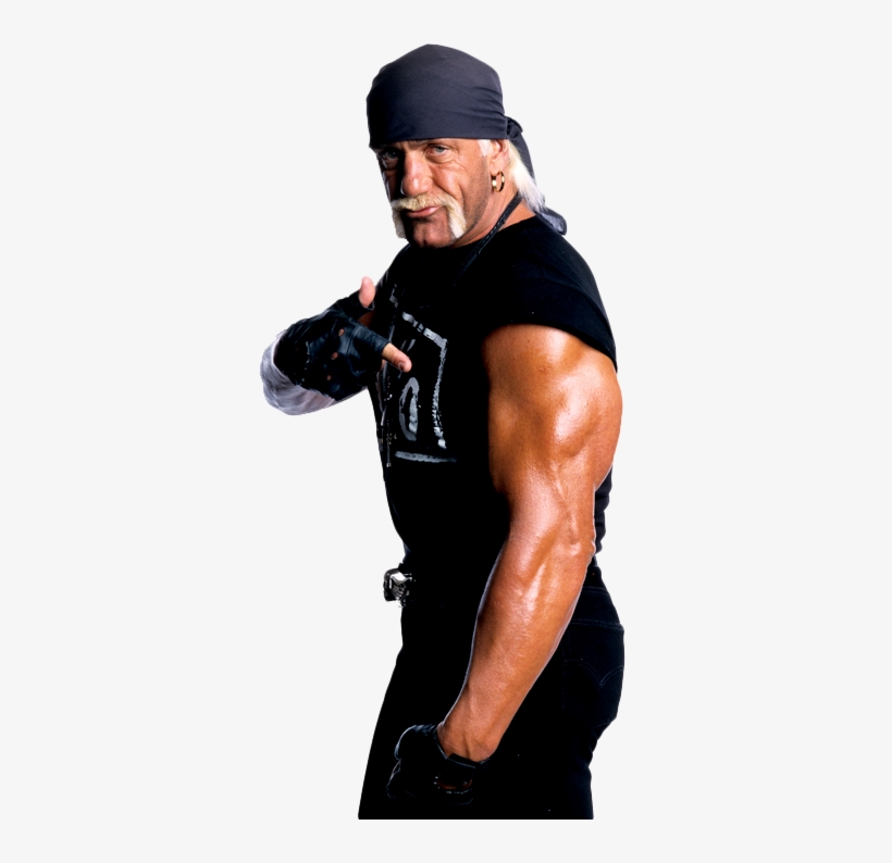 Nwo Hollywood Hulk Hogan Png By Ambriegnsasylum16 - Nwo Hulk Hogan ...