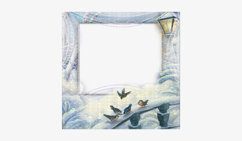 Winter Birds Frame Winter Frame Picmix - Picmix Transparent PNG ...