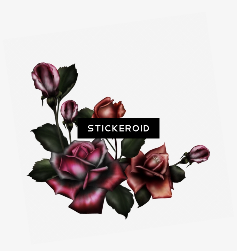 Gothic Rose Pic Flower - Gothic Flowers Png Transparent PNG - 1016x1026 ...