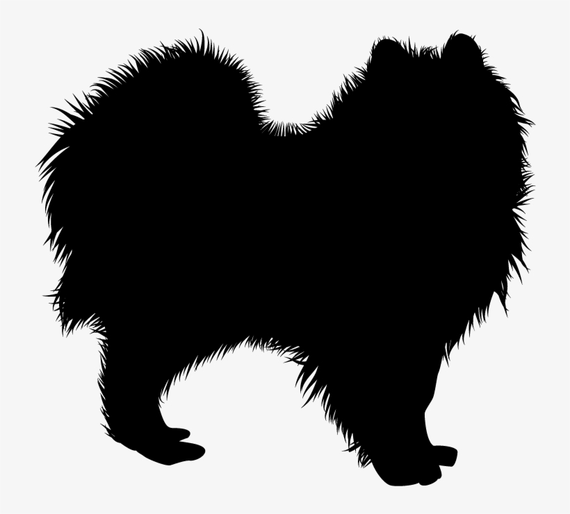 Pomeranian PNG & Download Transparent Pomeranian PNG Images for Free ...