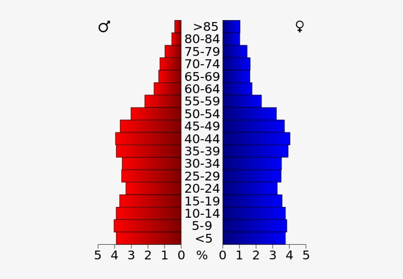 Demographics - Age Pyramid Usa Transparent PNG - 440x508 - Free ...