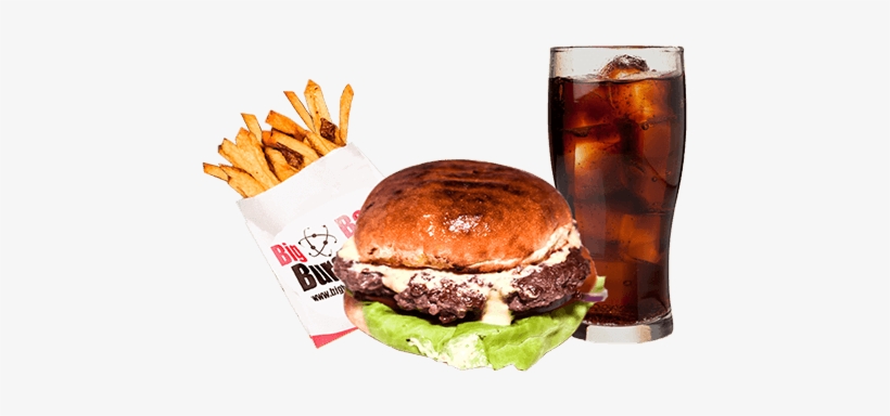 Single Patty Burger - Hamburger Transparent PNG - 498x330 - Free ...