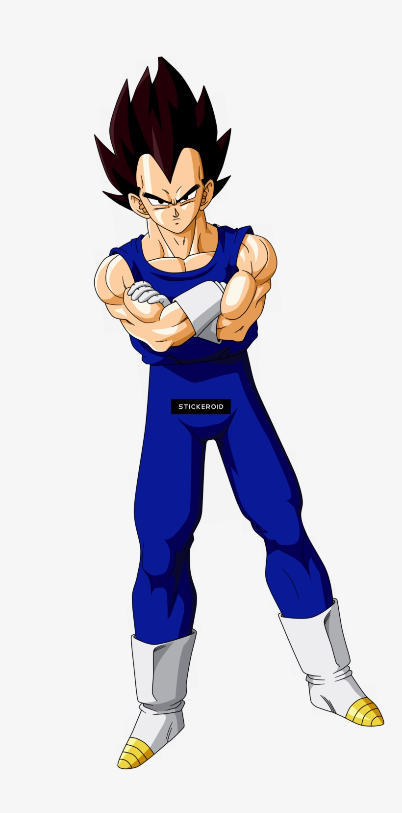 Vegeta Ball Dragon - Vegeta Png Transparent PNG - 2366x4665 - Free ...