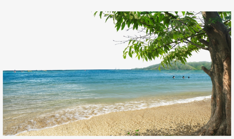 Beach Png Background - Transparent Background Beach Png Transparent PNG ...