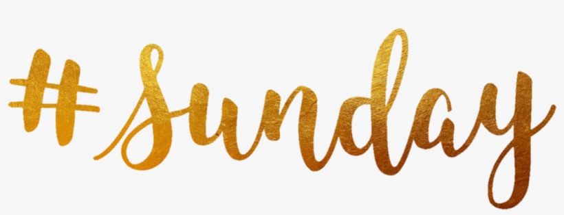 Sunday Hashtag - Calligraphy Transparent PNG - 1045x360 - Free Download ...