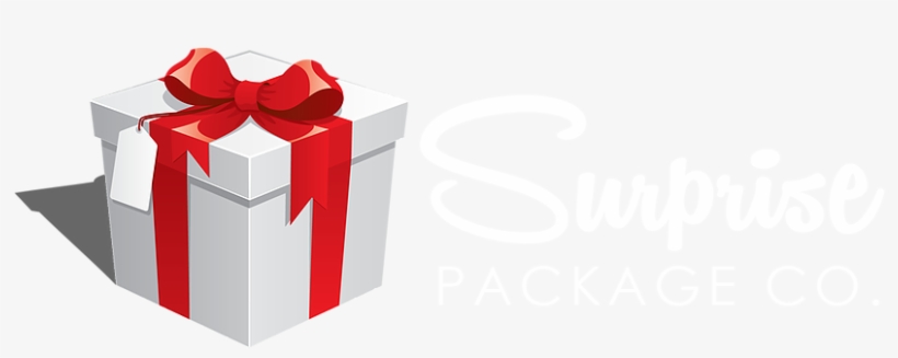 Surprise Package Co - Surprise Package Transparent PNG - 900x300 - Free ...