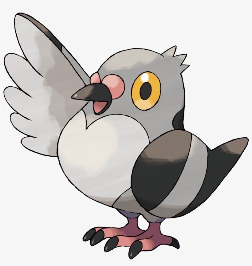 Almost Two Decades After The Misleading Named Pidgey, - Pigeon Pokemon ...