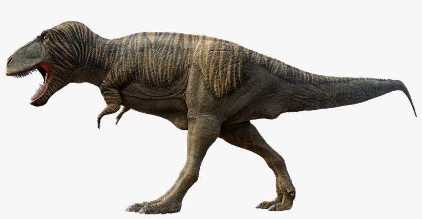T - Rex - Tyrannosaurus Rex Fell Transparent PNG - 1040x481 - Free ...