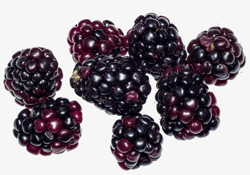 Berries Png Transparent PNG - 1199x1007 - Free Download on NicePNG