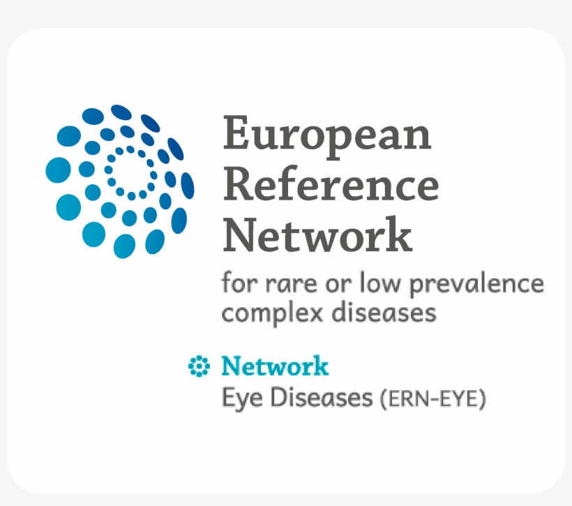 Logo Ern-eye - Ern European Reference Network Transparent PNG ...