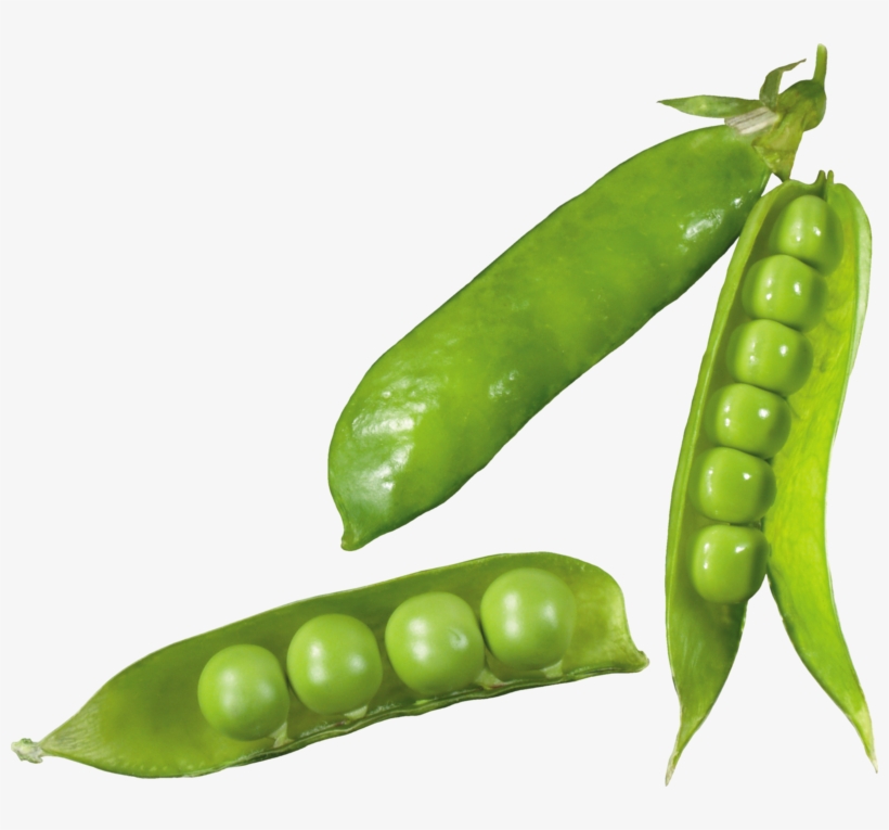 Pea Png, Download Png Image With Transparent Background, - Snow Peas ...