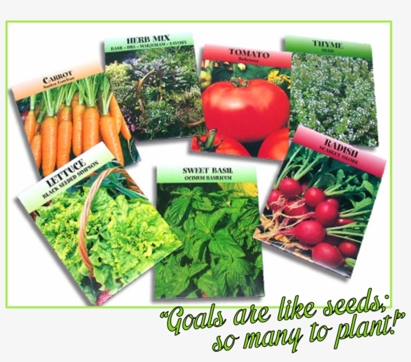 Seeds Transparent PNG - 1000x853 - Free Download on NicePNG