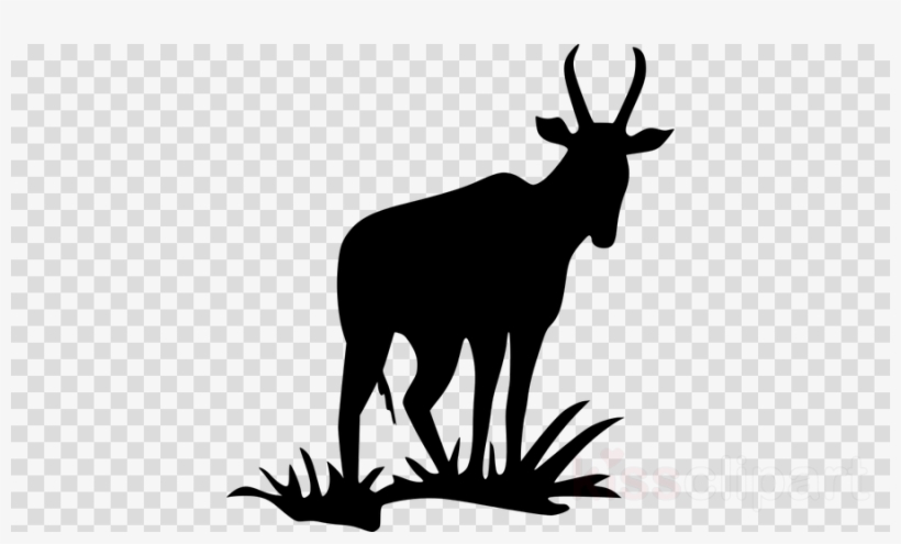 Pronghorn Antelope Silhouette