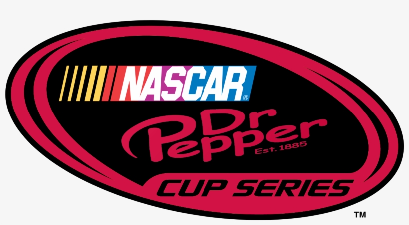 Nascar 14 Custom Logo