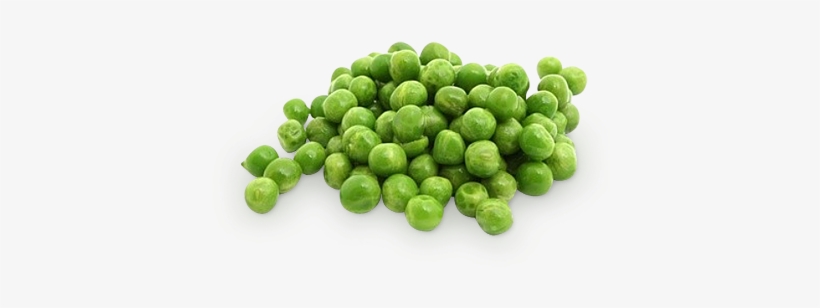 Semilla De Alberja Transparent PNG - 400x400 - Free Download on NicePNG