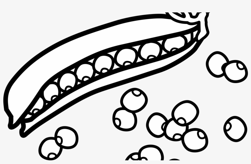 Pea Clipart Pod Template - Pea Clipart Transparent PNG - 1920x1080 ...