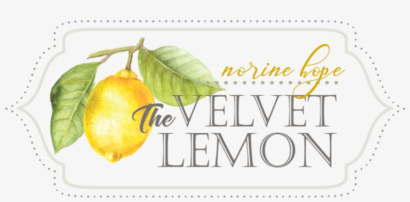 One Life America Transparent PNG - 1117x523 - Free Download on NicePNG