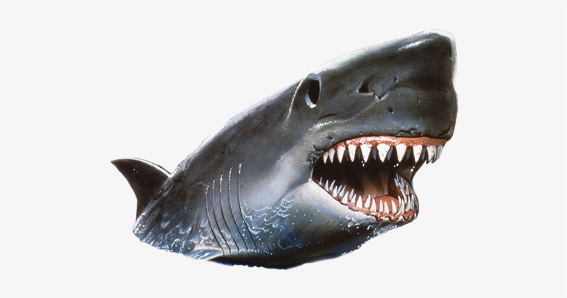 Download Shark Jaws Png Transparent Shark Jaws - Shark - HD Transparent ...