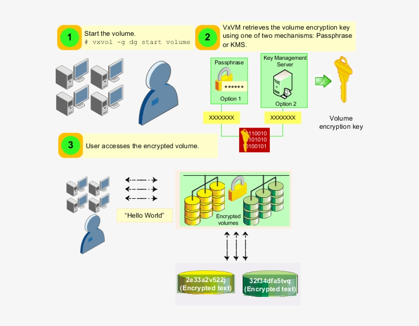 Decryption - Diagram Transparent PNG - 668x557 - Free Download on NicePNG