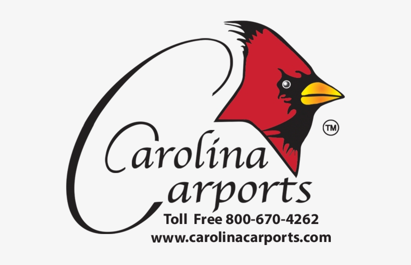 Vendor Info - Songbird Transparent PNG - 900x462 - Free Download on NicePNG