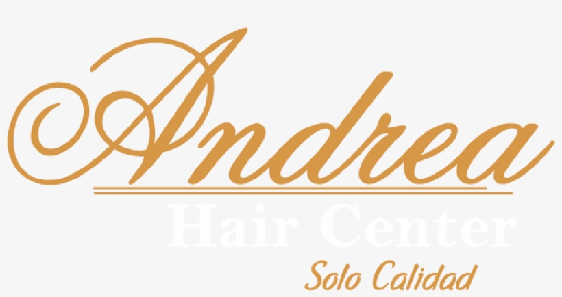 Productos - Andrea Hair Center Transparent PNG - 1400x800 - Free ...